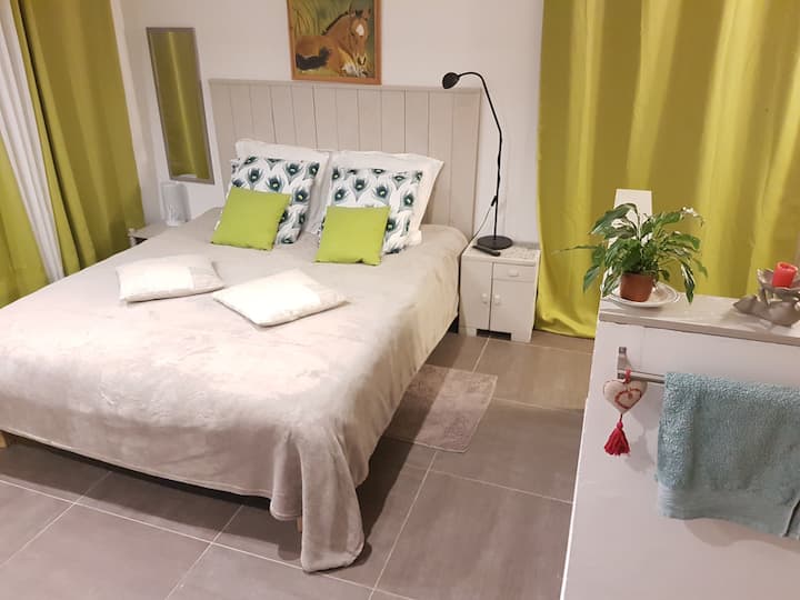 Chambre D'hôtes Mas Le Barret - Arles
