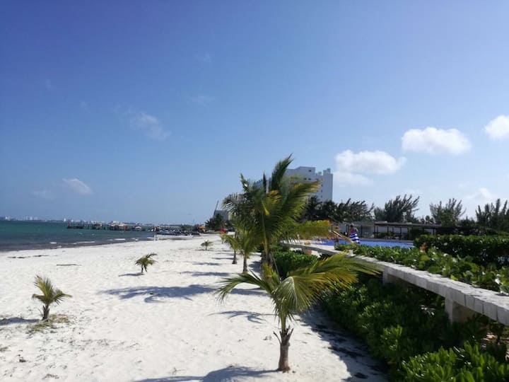 Beautiful Beachfront Apartment In Cancun - Cancún