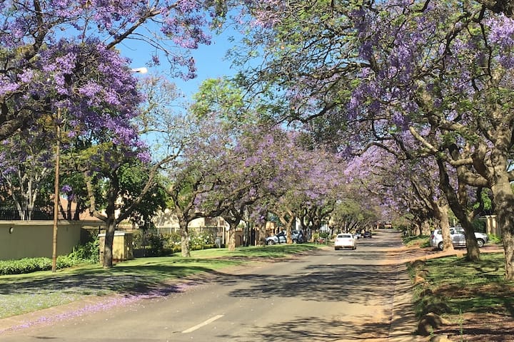 A Diplomat's Dream House In Brooklyn/waterkloof - Pretoria