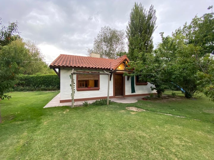 Casa Con Pileta En Chacras De Coria. - Argentina