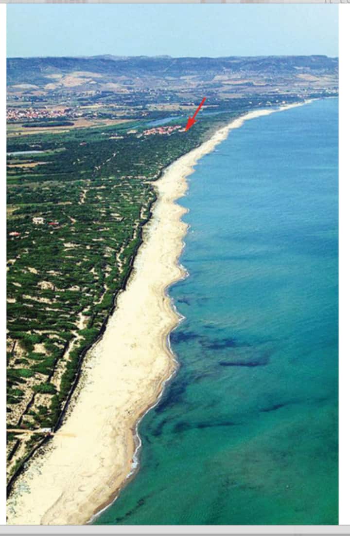 Gemma Delle Mimose - Valledoria