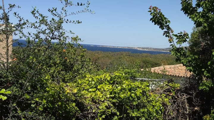 Bel Appartement Avec Petit Jardin Privatif - Calvi
