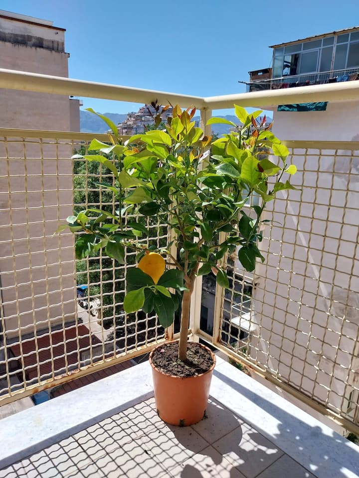 Raffaello Suite - Isola delle Femmine