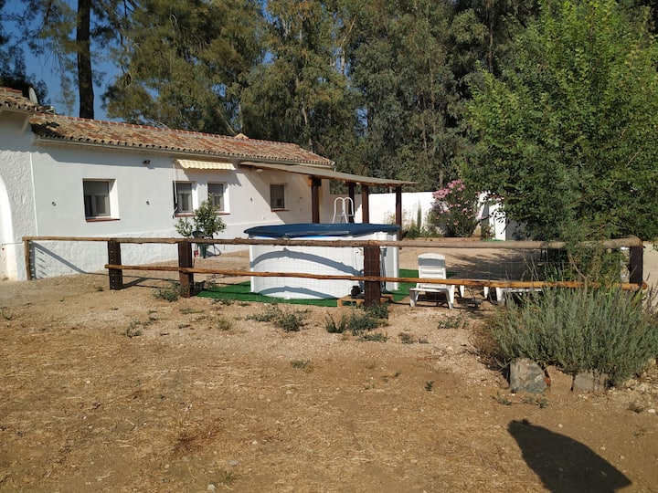 La Umbría De La Ribera Casa Del Patio - El Pedroso