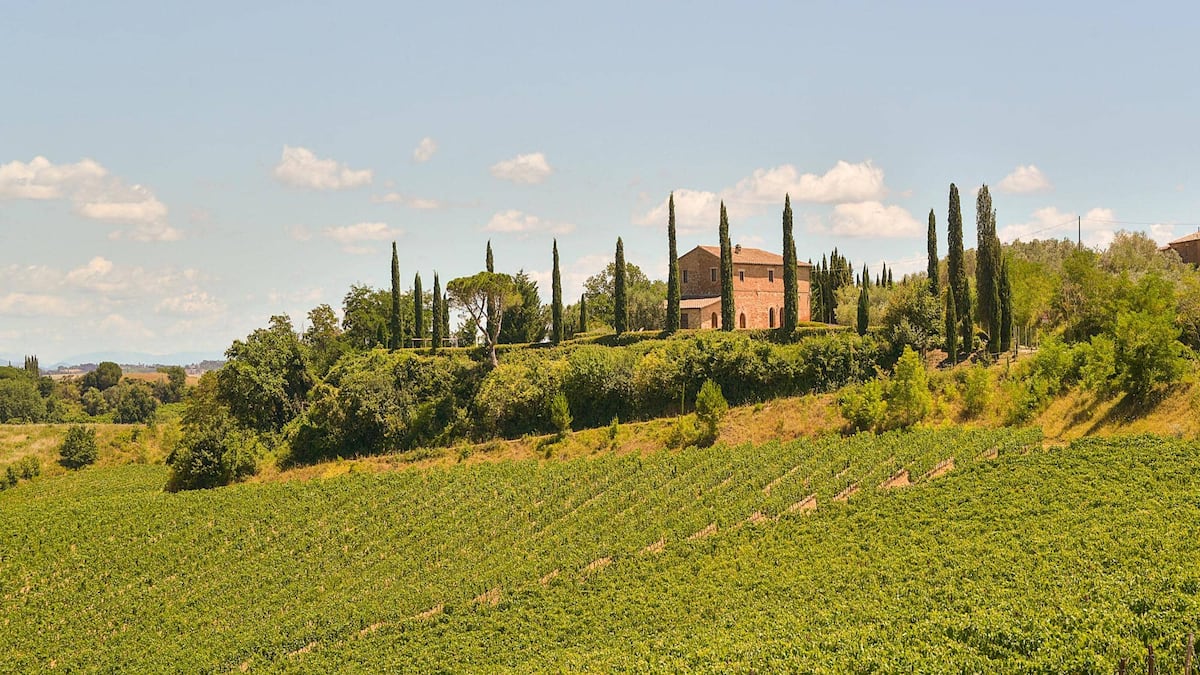 Tuscany, Italy Luxury Holiday Rentals | Airbnb