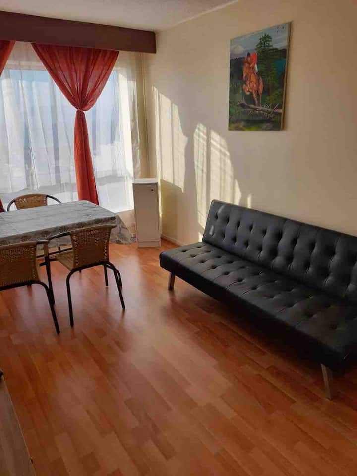 Hermoso Departamento Sector Centro Sur - Antofagasta