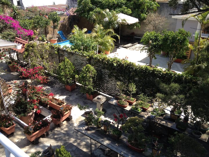 Functional, Elegant, Ecologic, Lots Of Nature - Guatemala