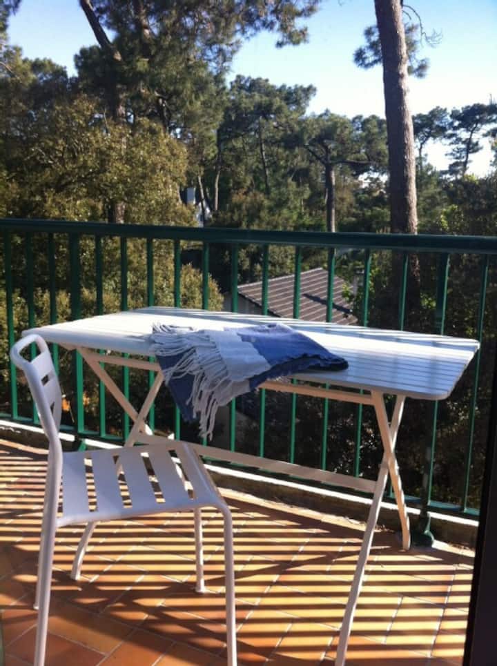 Appartement Vue Pins Plein Sud - La Baule-Escoublac