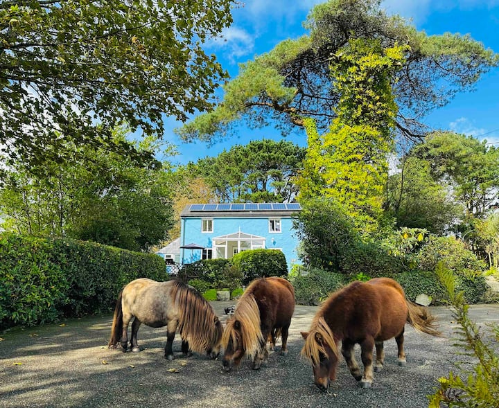 Beautiful Cottage With Views Of The Bay! - Fowey