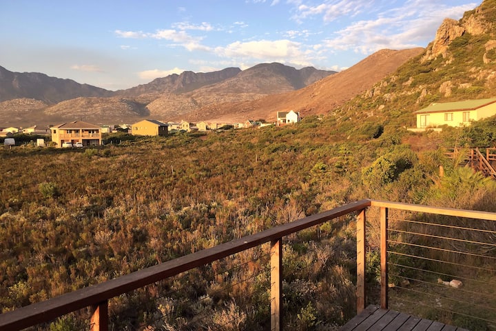 Kelineia, Pringle Bay - Pringle Bay