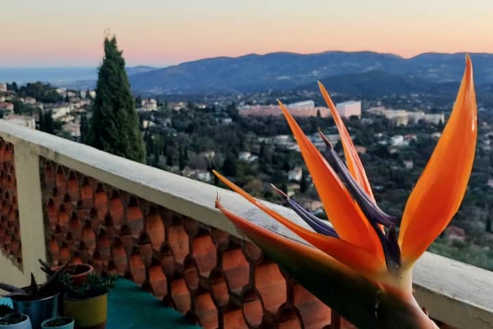 La Vigie : Panorama Sur L'estérel - Grasse