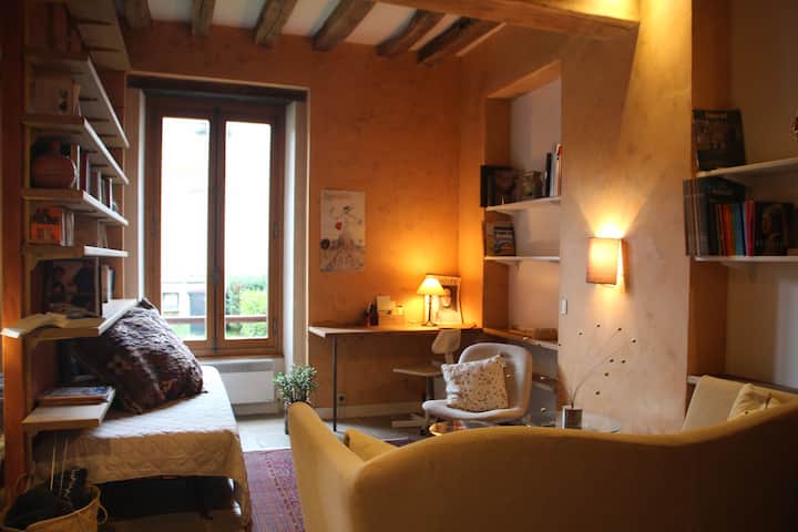 Appartement De Charme Au Coeur D'auxerre - Auxerre