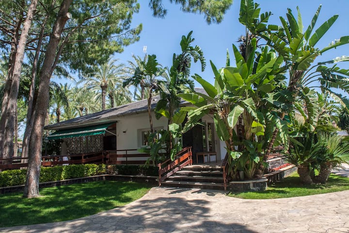 Villa Présidentielle Avec Piscine, Près De Valence - Bétera