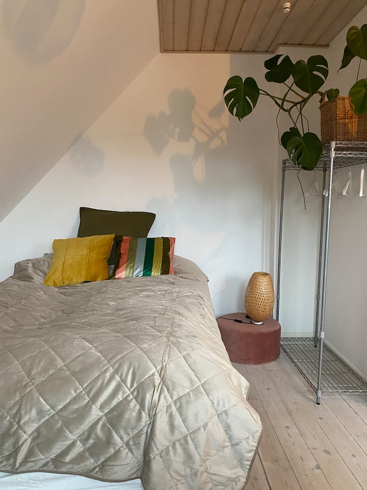 Hyggelig 1. Sal I Gl. Villa - Odense