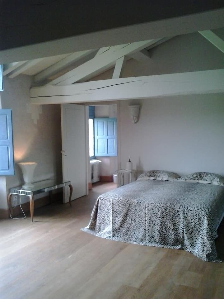 Château De Cauderoue- Nérac -B&b- Suite De La Tour - Barbaste