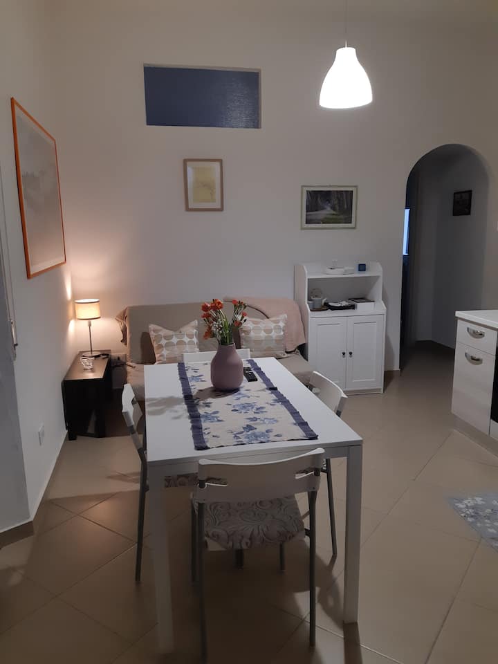 Casa Vacanze A Pisa,
Bilocale Con Piccolo Giardino - Pise