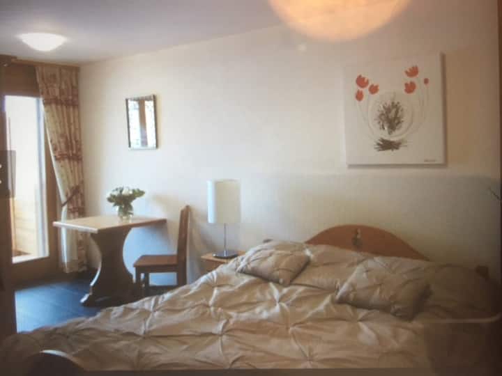Champery//val D'illiez 1 Bed Apartment - Châtel