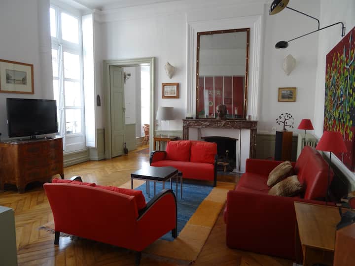 Amazing Apartment In The Heart Of Dijon - Dijon