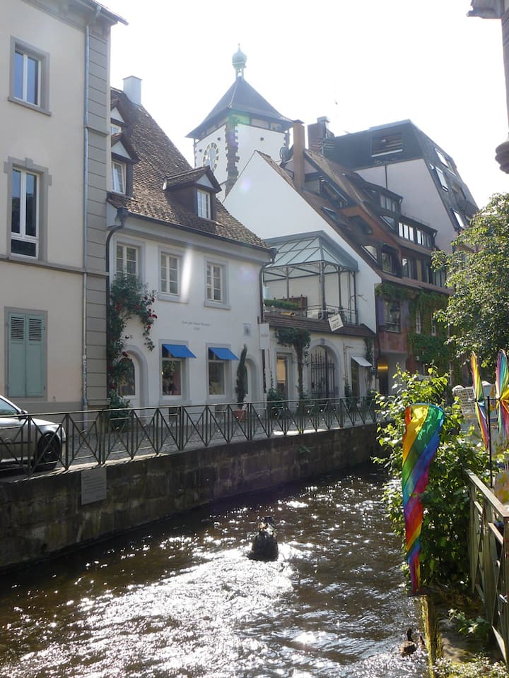 Ferienwohnung Freiburg Altstadt - Freiburg
