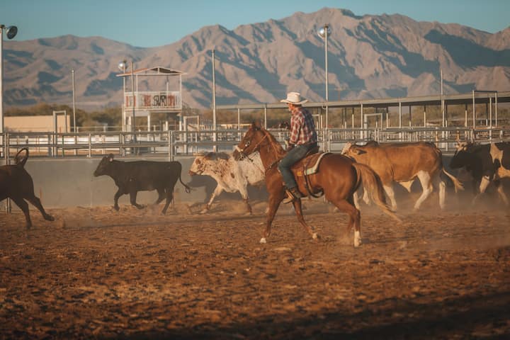 9 Best Ranches In Las Vegas, Nevada - Updated 2023 | Trip101