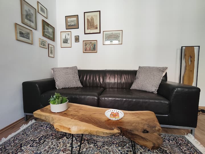 Charming City Center Apartment - Vienna