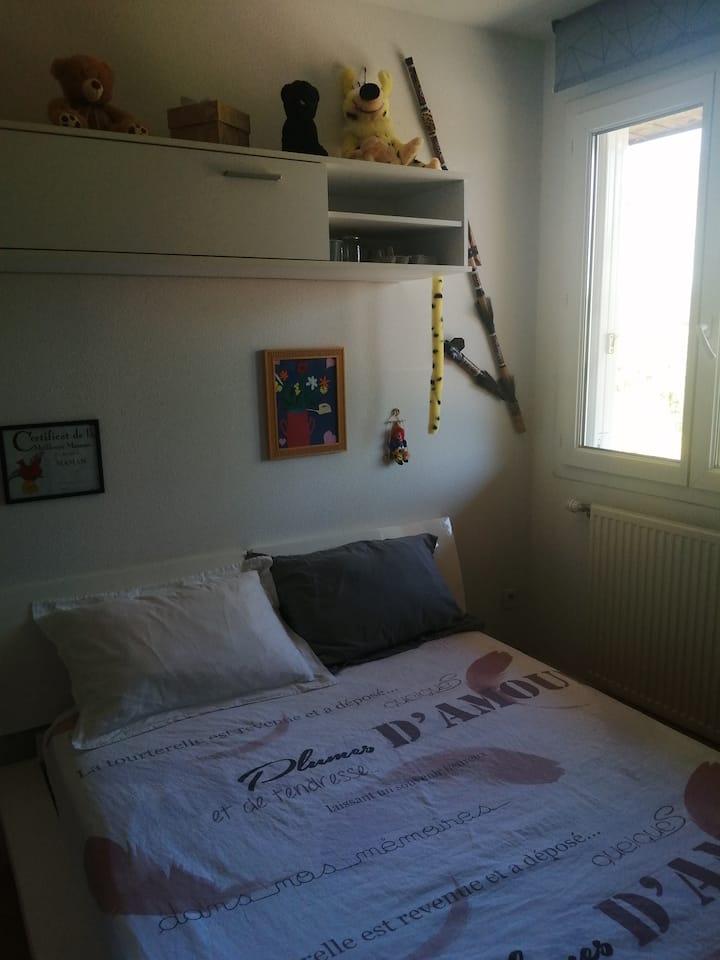 Loue Chambre Dans Appartement Très Sympathique. - Montélimar