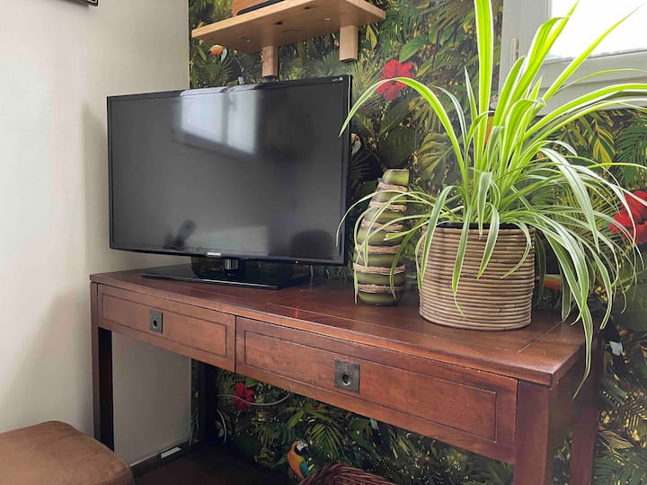Appartement, 57m2, Avec Jardin Au Rdc D’une Maison - Villemomble