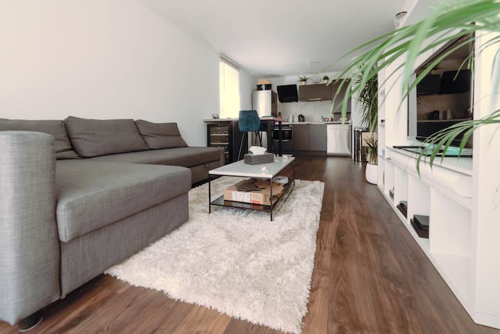 Agreable P2 à Castelnau Le Lez , Parking Privé - Castelnau-le-Lez