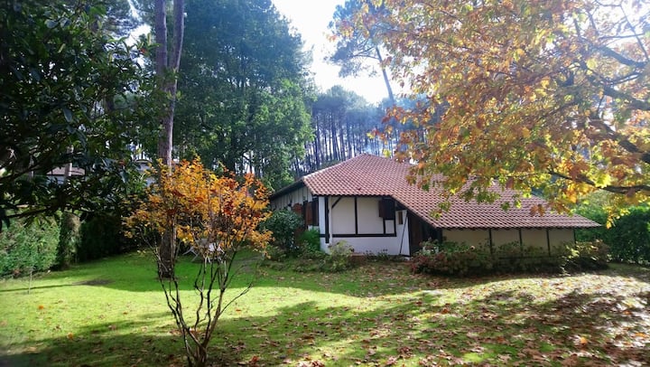 Maison Landaise Sous Les Pins - Seignosse