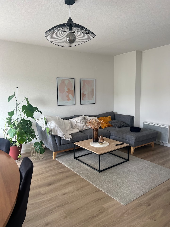 Appt Lumineux à 15mn En Tram Du Centre De Bordeaux - Blanquefort