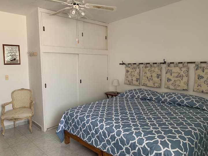 Cozy Apartment In Golden Zone - Cuernavaca