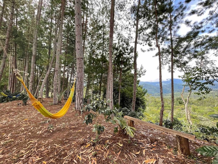 Habitación Privada En Una Finca De Café - Villa Rica