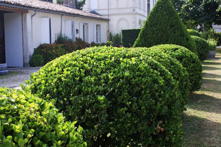 Gite Du Château Beausite - Lormont