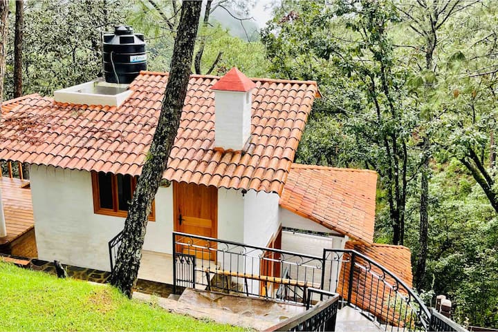 Cabaña Familiar Con Jacuzzi, En El Bosque (16) - Michoacán