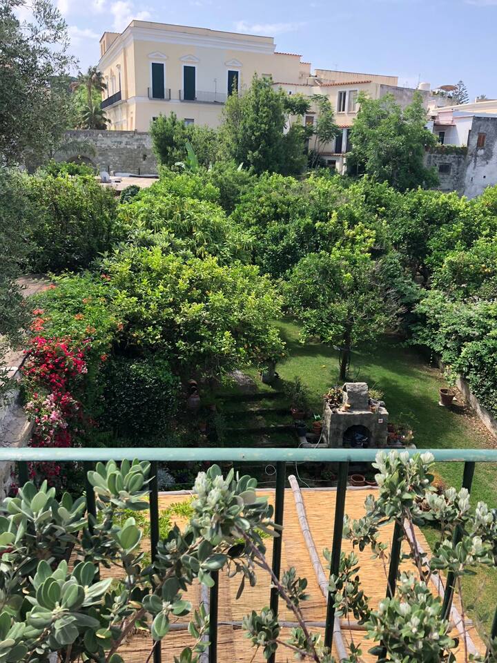 Forio Green House - Forio