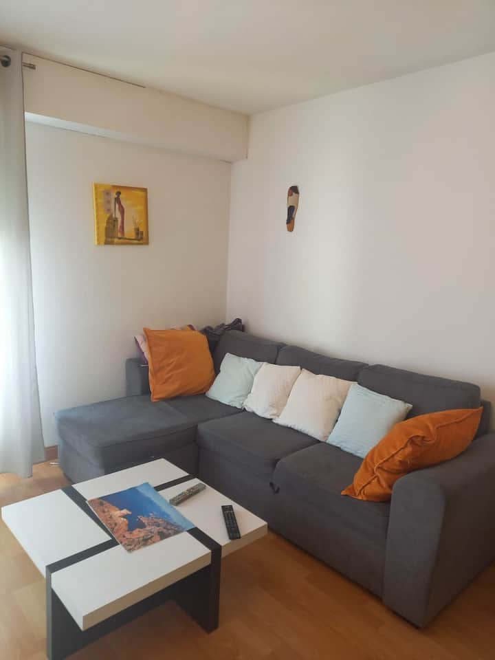 Super Appartement Au Calme Avec Parking Sécurisé - Orvault