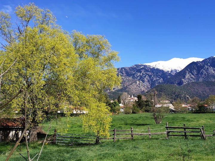 Joli T2 Entre Mer Et Montagne Au Pied Du Canigou - Vernet-les-Bains