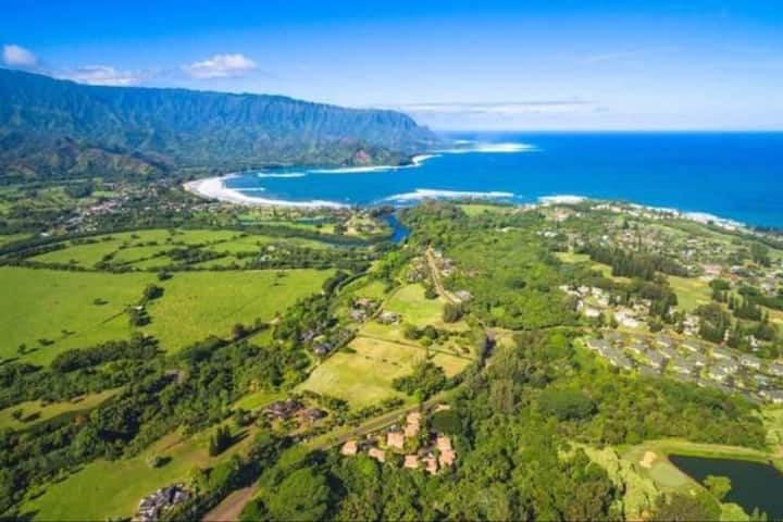 Kaua'i Island Paradise In Princeville Sleeps 6 - Princeville, HI
