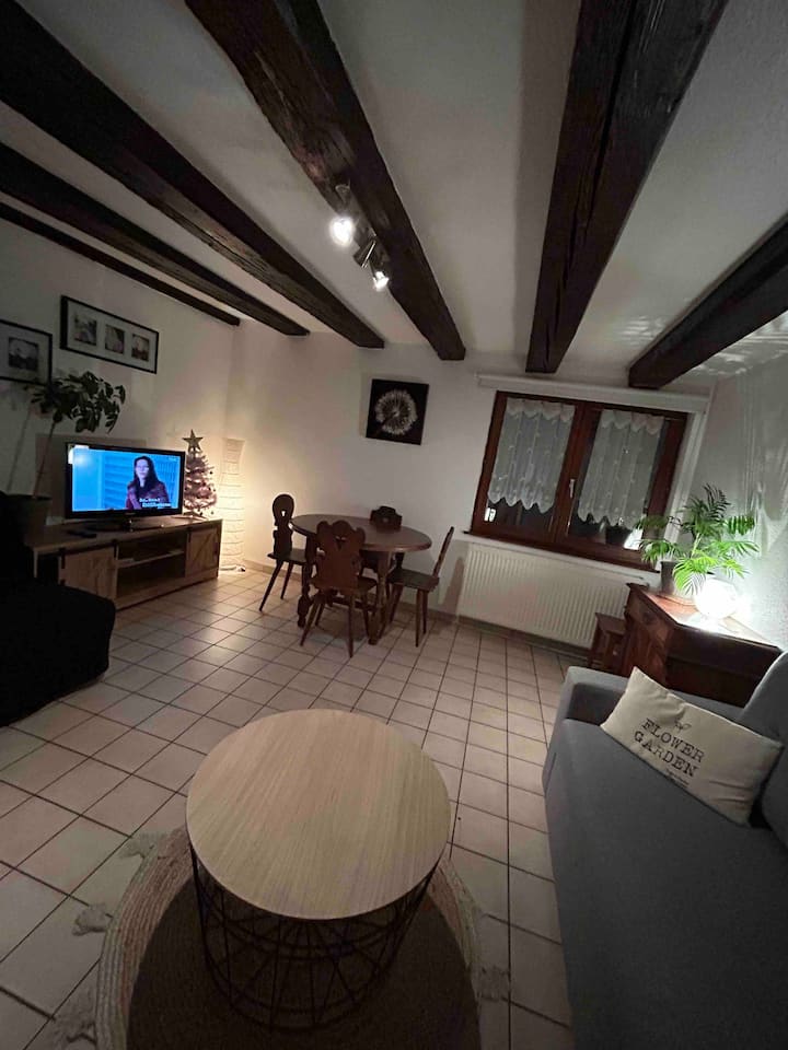 Appartement Chaleureux Vue Sur Centre Historique - Riquewihr