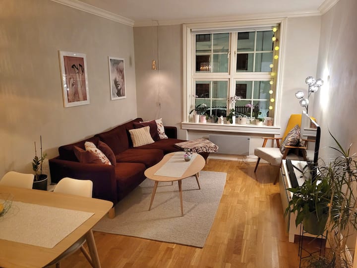 Koselig Leilighet På Rosenhoff, Grünerløkka - Oslo