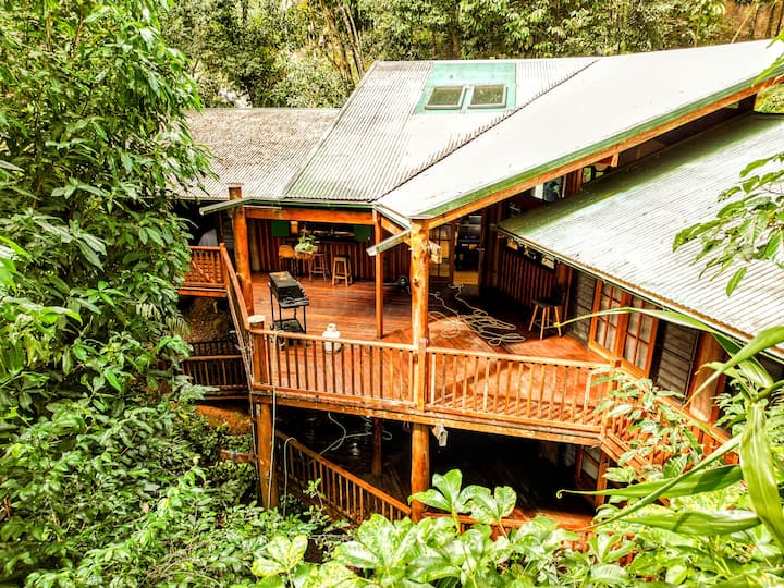 Wfh Rainforest Master Room - Kuranda