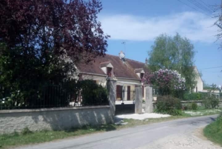 Pangea - Seine-et-Marne