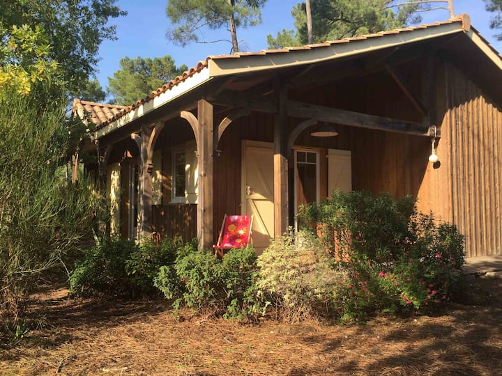 Mignonne Petite Maison Bois Près Du Lac 80 M - Lacanau