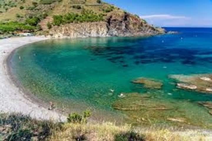 Coup De ❤️: Face à La Mer - Cerbère