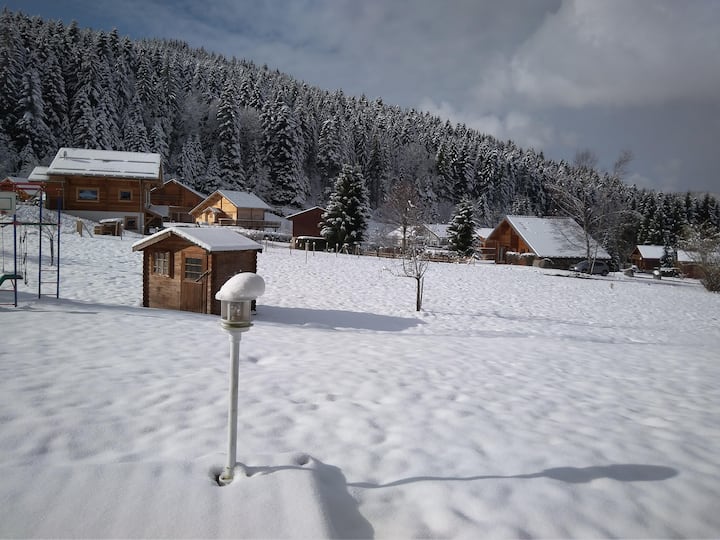Gîte Le Béaba,  Idéal, Au Calme, Spacieux Et Cosy - Xonrupt-Longemer