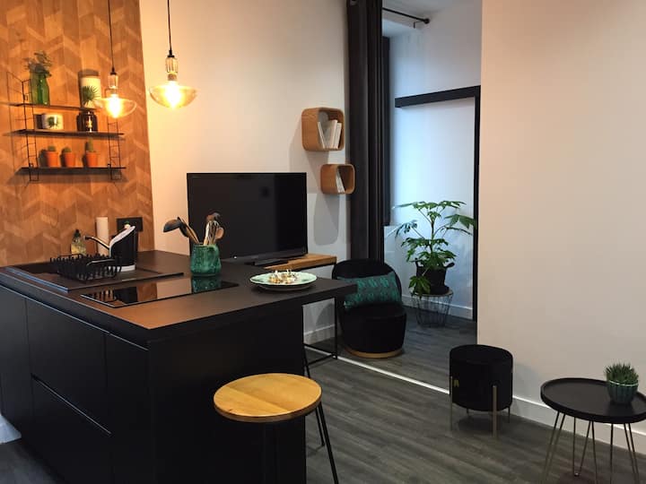 Le 22 - Appartement 35 M2 Avec Jardin à Roanne - Roanne