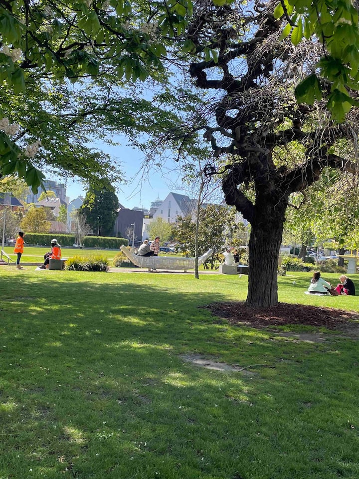 A Hidden Gem In Central City - Christchurch