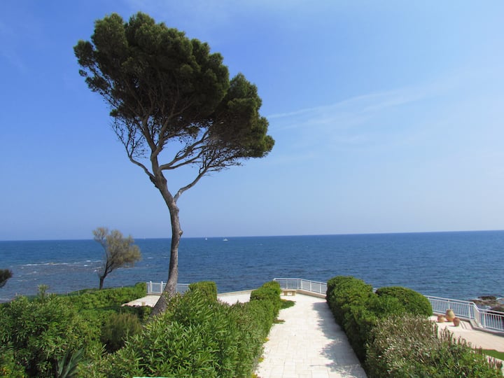 Villa Pieds Dans L'eau Dans Résidence De Standing - Fréjus
