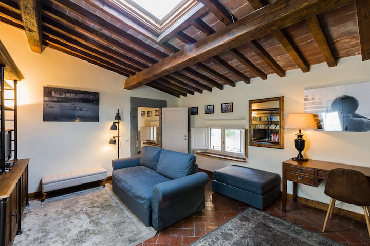 Santo Spirito Apartment - Florence