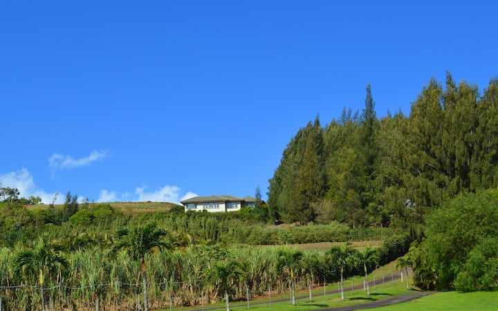 Private Cottage With Hot-tub - Maui, HI